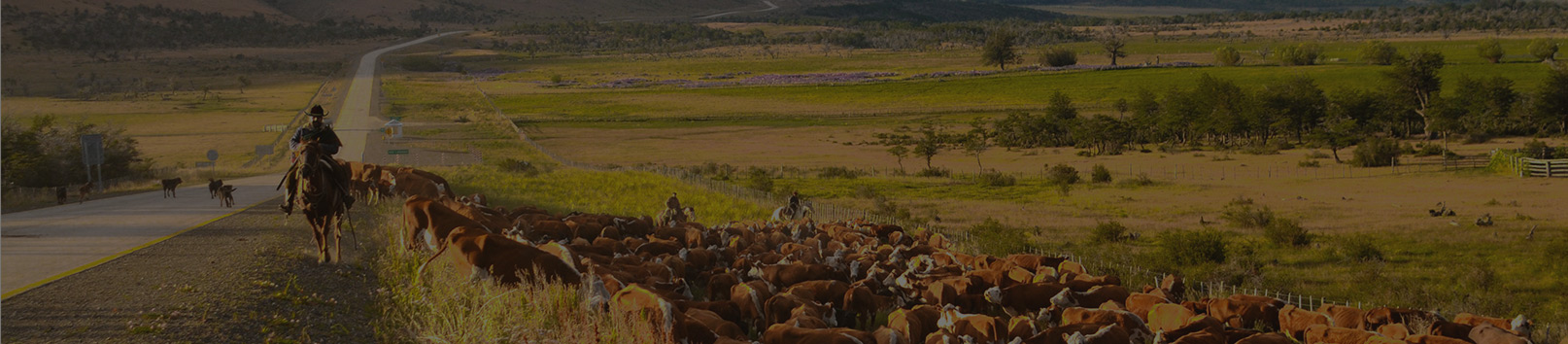 Servant Leadership – Cowboy Christian Connection